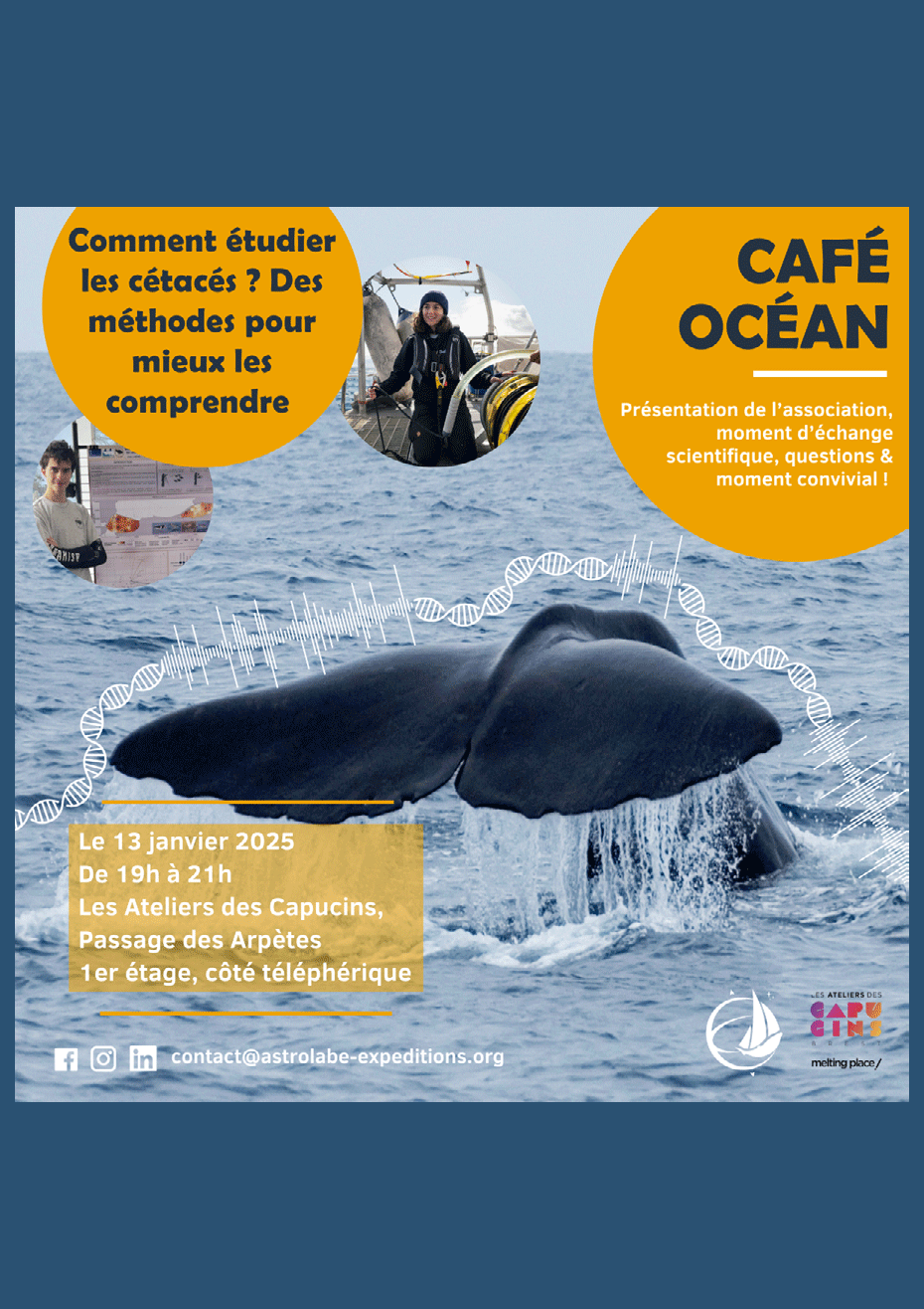 Café Océan - Comment étudier les cétacés ? | Ateliers des Capucins