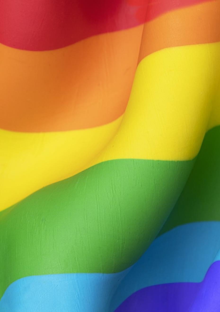 Le mois des fiertés / club de lecture queer | Ateliers des Capucins